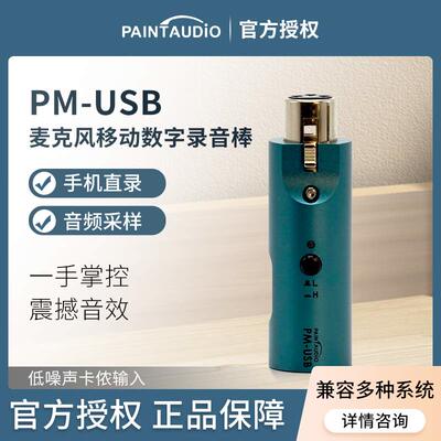 PAINTAUDIOPM-USB麦克风