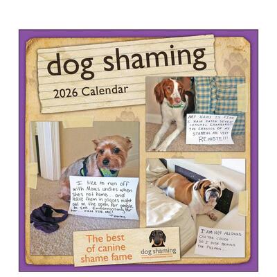 【预售】“罪犯”小狗曝光 2026年彩色挂历 Dog Shaming 2026 Wall Calendar 原版日历