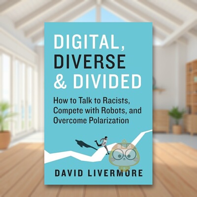 【预售】数字化多样化和分散化Digital Diverse & Divided英文商业行销精装进口原版书Livermore  David Berrett-Koehler书籍图书