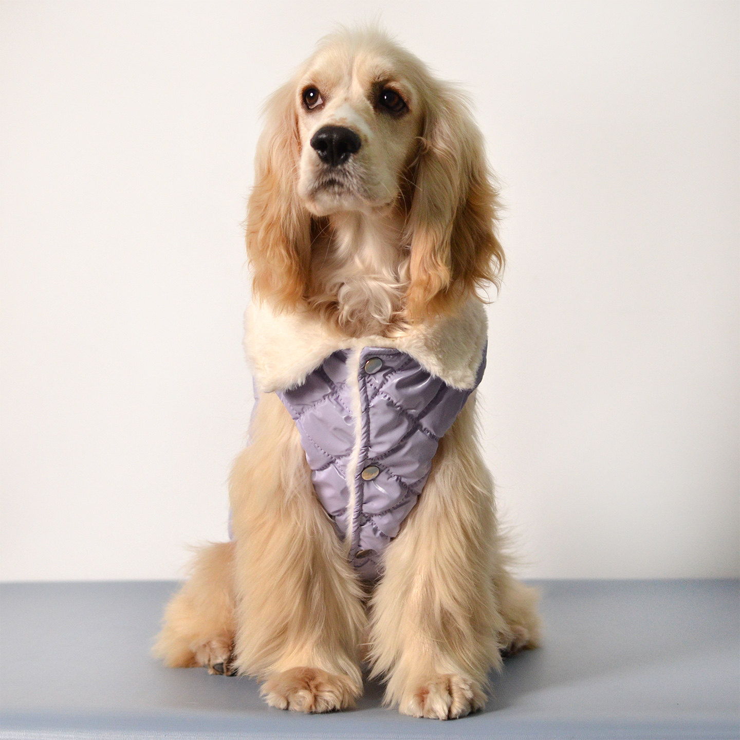 小型犬衣服雪纳瑞可卡泰迪西施马尔泰猫咪秋冬季狗衣服保暖绒马甲