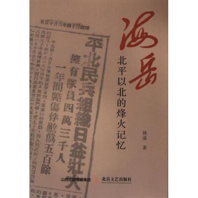 海岳 林遥著 9787537868006