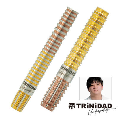 TRiNiDAD Undisputed KID 2/3 EVO后藤智弥22.5克 21.5克软钨钢镖