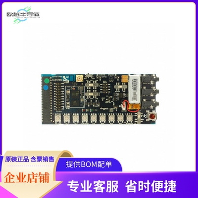 DEV-SYS-1645B3-1A【BOARD BLUECORE5-MULTIMEDIA】开发板 套件
