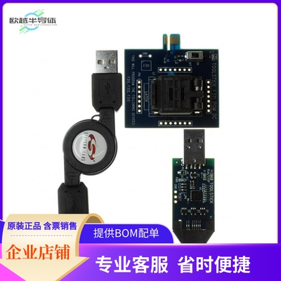 TOOLSTICK311PP【ADAPTER PROGRAM TOOLSTICK F311】开发板 套件