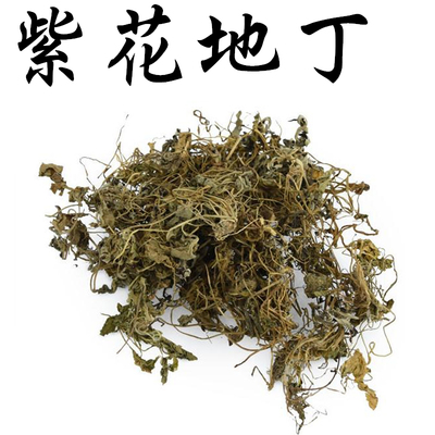 中药材紫花地丁地丁草地丁茶野堇菜 500克包邮