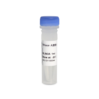 BL543A RNase A溶液（核糖核酸酶 A,10mg/ml）