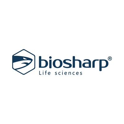 BiosharpBL1029A/B2×SuperRangeMasterMix含染料