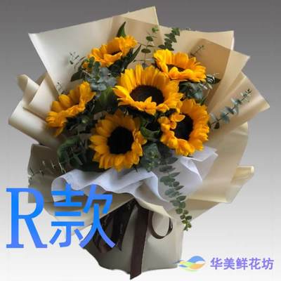 生日探望康乃馨贵州遵义花店送花道真县务川县凤冈县同城鲜花快递