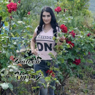 滋养平衡无硅油防脱Zaitoon