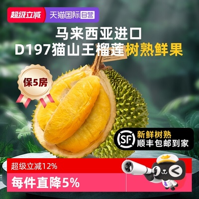市舶士猫山王榴莲鲜果