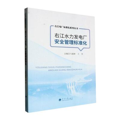 正版右江水力发电厂管理标准化马建新书店工业技术书籍 畅想畅销书