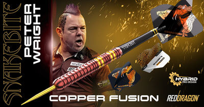 Reddragon蛇叔新品专业飞镖