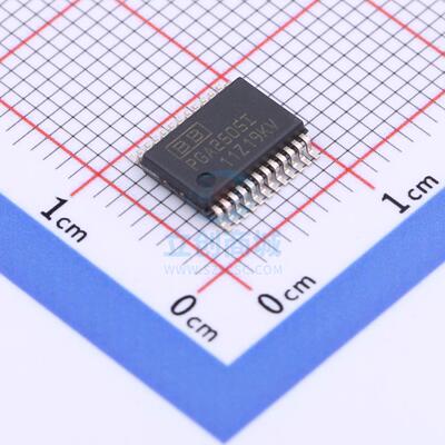 音频功率放大器 PGA2505IDBR SSOP-24 TI()