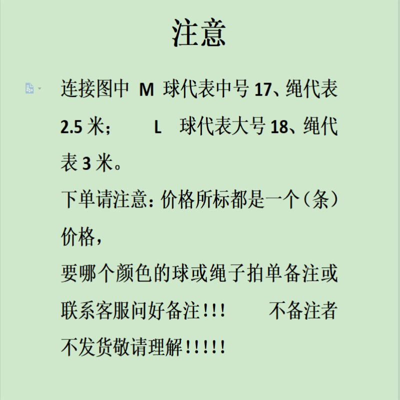 卓旺新款艺术体操组合套装 球 鞋 包套装 进口同步拍单备注要求