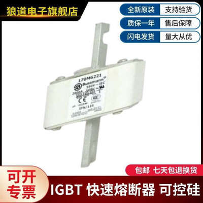 供应正品原装现货170M6219 170M6220 170M6221巴斯曼熔断器