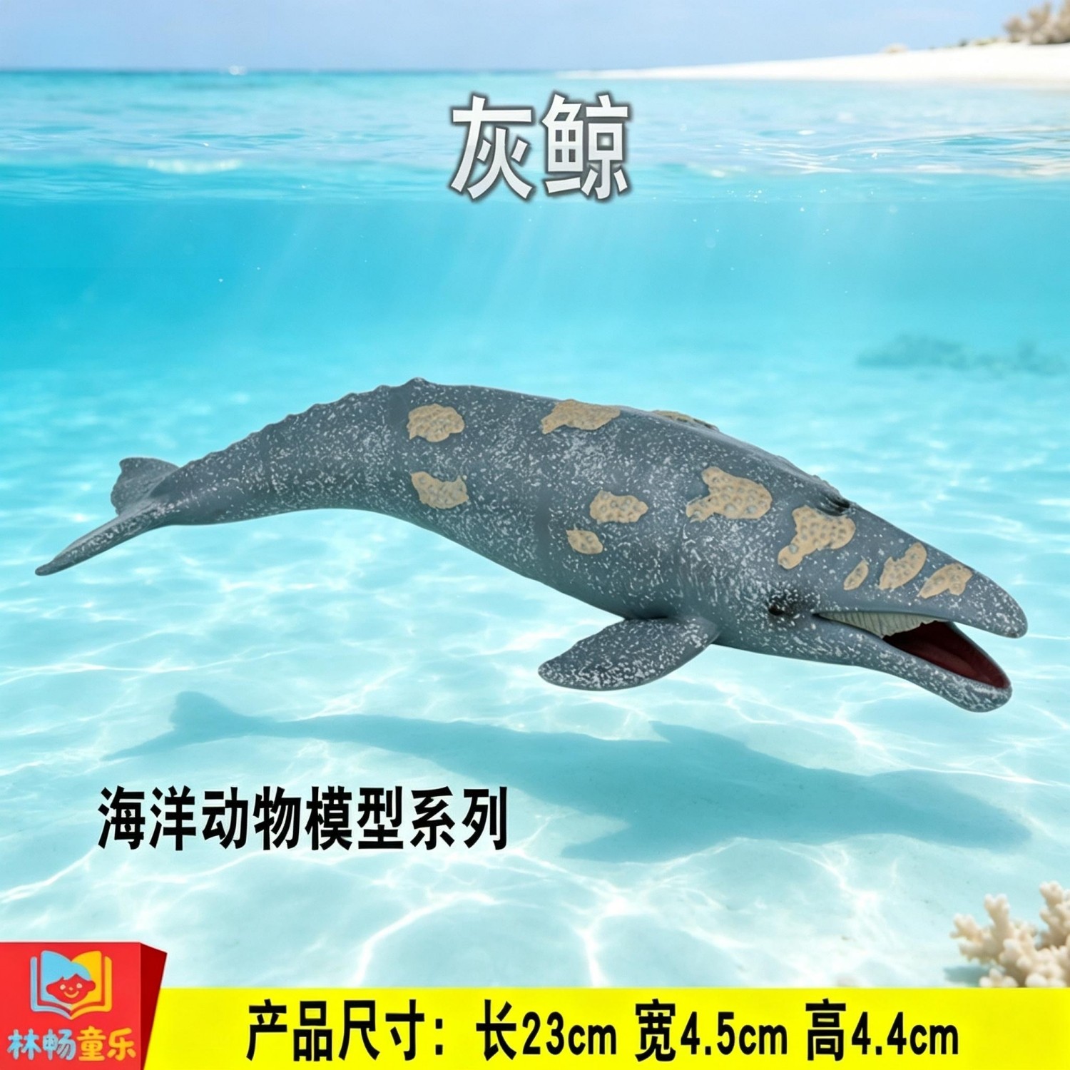 林畅童乐儿童海洋动物玩具灰鲸模型仿真鲸鱼摆件男孩认知海底生物