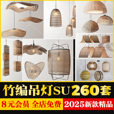 新中式日式乡村自然风侘寂风民宿会所茶室藤编竹编吊灯灯具SU模型