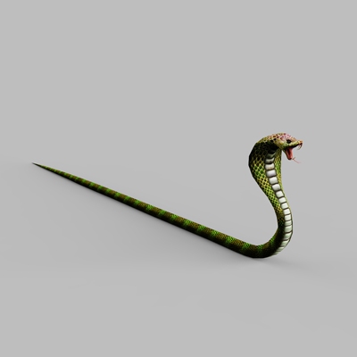 眼镜蛇3D模型设计素材 rhino格式贴图动物 恐怖obj keyshot渲染