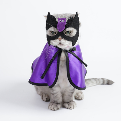 猫咪狗狗万圣节蝙蝠面具披风套装