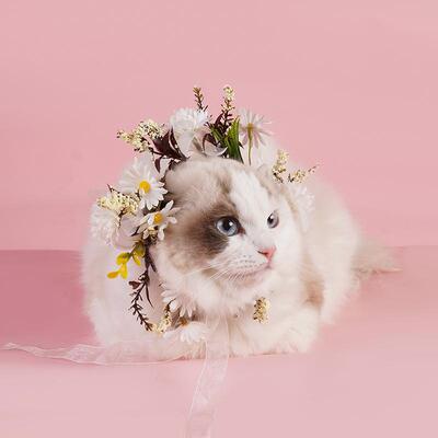 吉仔仔宠物簪花花环头饰