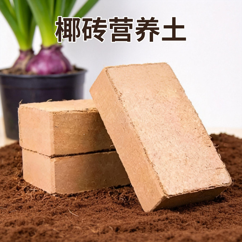 椰砖营养土养花通用型椰糠植物花土种菜泥土脱盐肥多肉土壤种植土