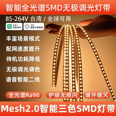 蓝牙mesh2.0智能灯带台湾110V