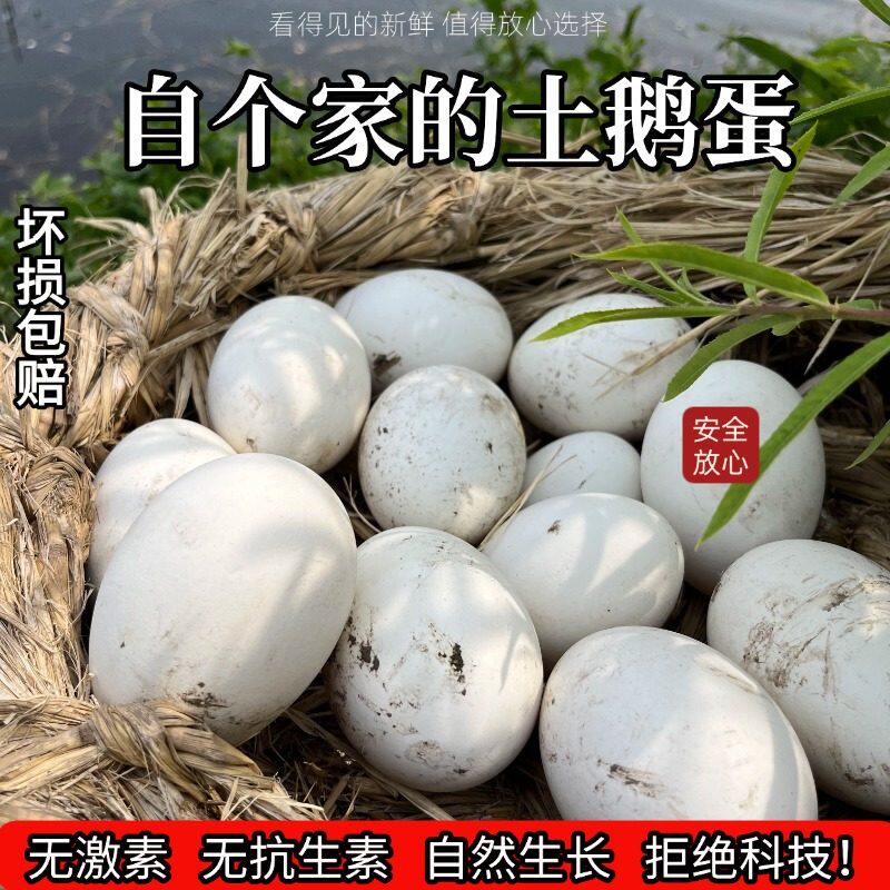 微山湖新鲜鹅蛋孕妇农家散养土鹅蛋正宗土特产12枚大个生鹅蛋精品