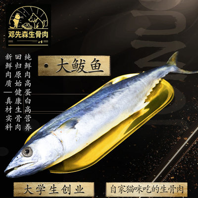 《顺丰冷运》新鲜冷冻 马鲛鱼春鲅鱼 整条450克到500克左右