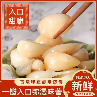 山东爽口糖醋蒜单颗甜蒜米新鲜腌制大蒜剥去皮蒜瓣开味胃下饭小菜