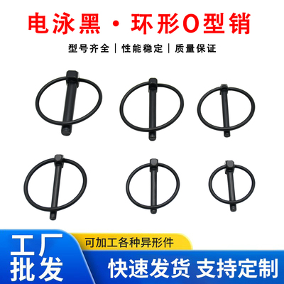 电泳黑环形O型销DIN11023定制