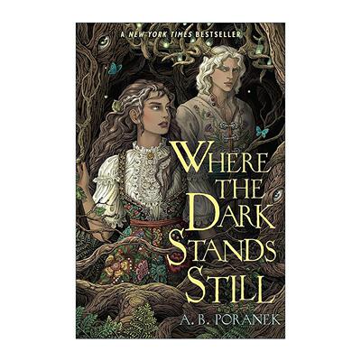 英文原版 Where the Dark Stands Still 黑暗仍伫 浪漫奇幻小说 英文版 进口英语原版书籍