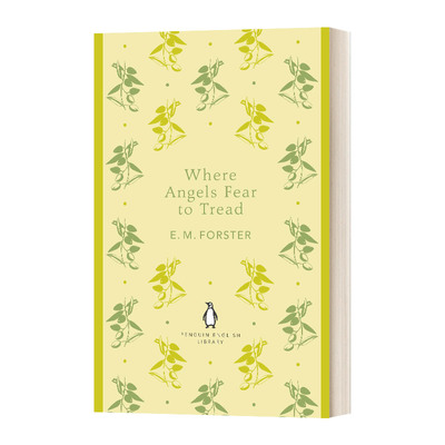 天使不敢涉足的地方英文原版