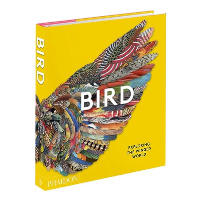 鸟类 探索有翅膀的世界 英文原版 Bird Exploring the Winged World 科学科普图鉴画册 英文版 Phaidon Editors 进口英语原版书籍