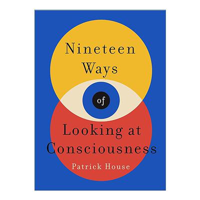 英文原版 Nineteen Ways of Looking at Consciousness 看待意识的十九种方式 心理科学科普读物 英文版 进口英语原版书籍