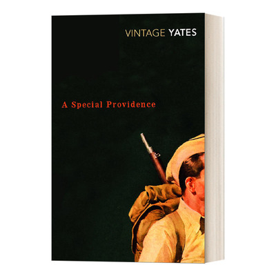 英文原版 A Special Providence 天命 理查德·耶茨 英文版 Richard Yates 进口英语原版书籍