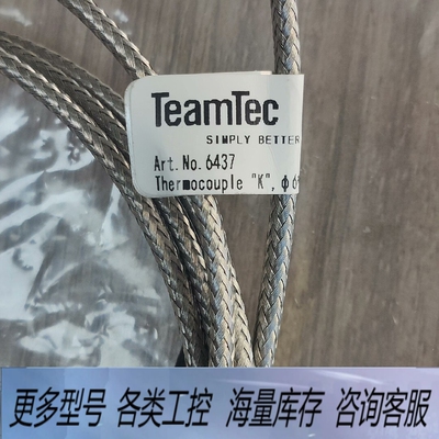 非标价TeamTec温度器K型