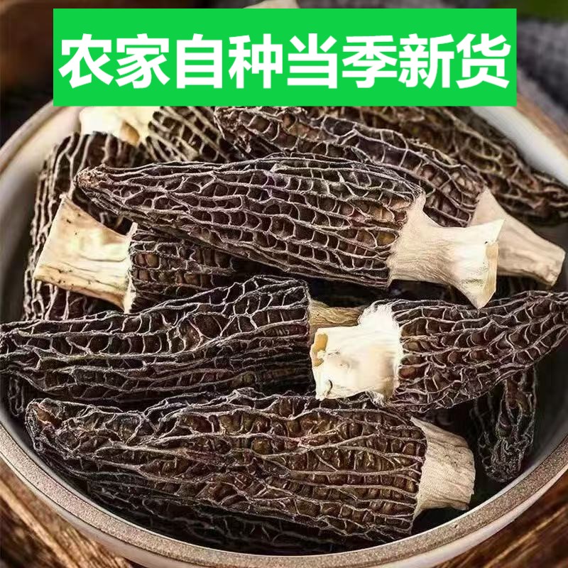 特级羊肚菌干货头茬精选5-8cm煲汤菌菇农家特产干货羊肚菌