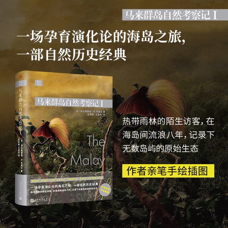 【现货正版】马来群岛自然考察记1+2 远行译丛系列精装 阿尔弗雷德华莱士旅游随笔英国博物学家马来群岛考察笔记人民文学出版社