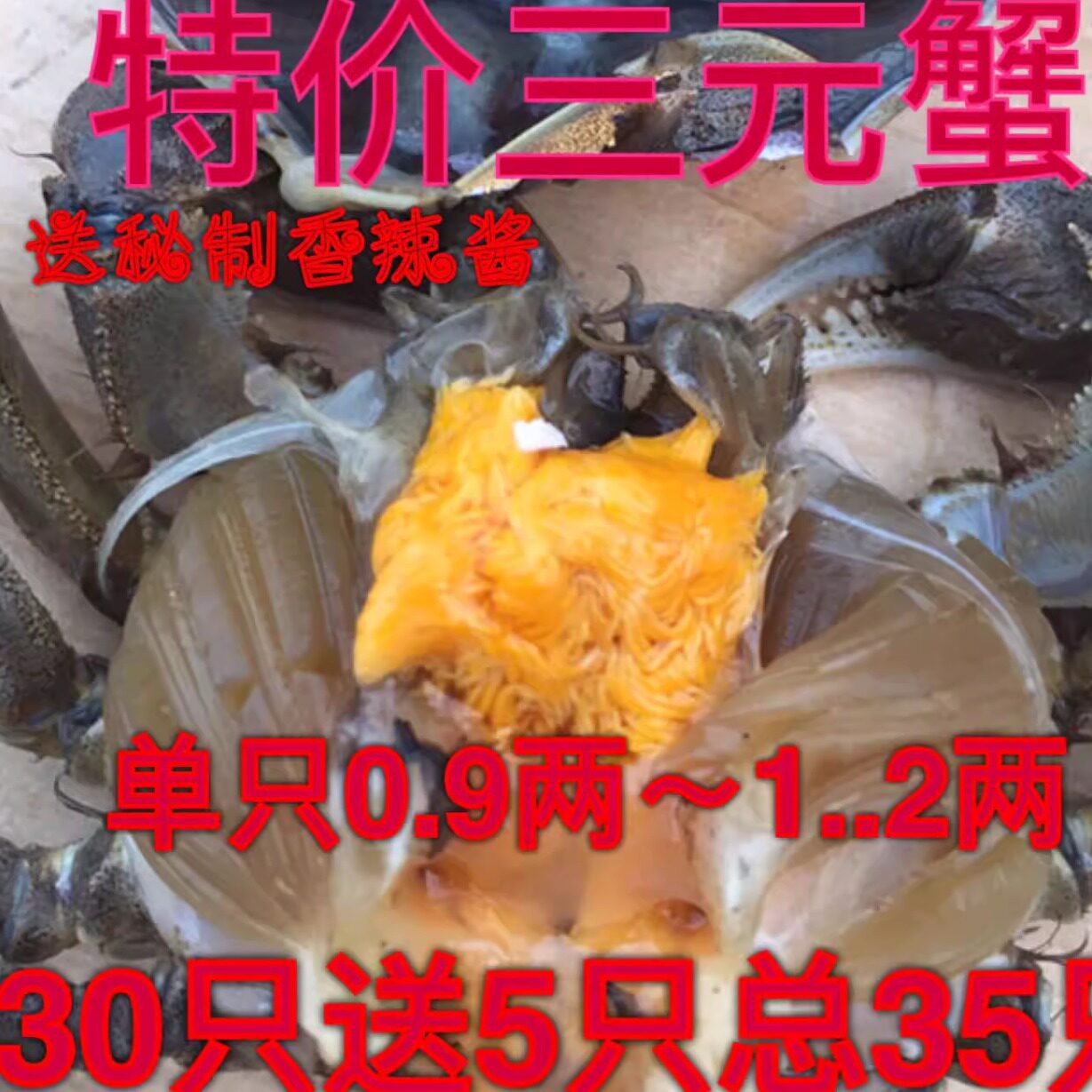 鲜活现货大闸蟹香辣蟹六月黄小螃蟹小河蟹毛蟹醉蟹0.9两~1.2两小