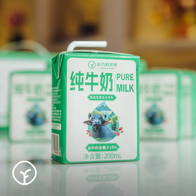 远方的梦想水牛奶纯牛奶远方的水牛广西石埠吃甘蔗白色水牛奶整箱