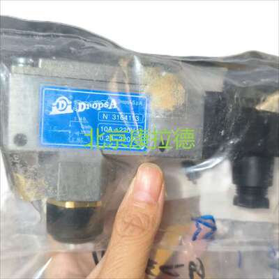 RICKMEIER 330534-9  R35/63泵Dropsa 3164113微动开关原厂全新