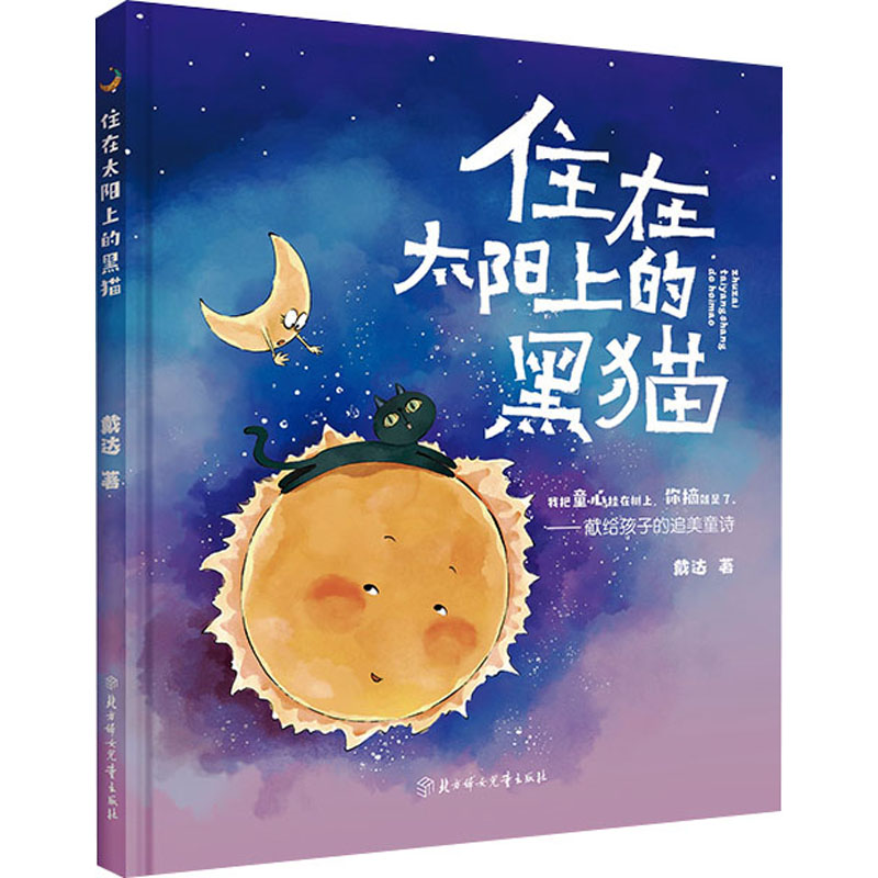 住在太阳上的黑猫戴达儿童文学少儿北方妇女儿童出版社