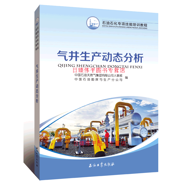 气井生产动态分析 石油石化专项技能培训教程 石油天然气集团有限公司人事部 石油勘探与生产分公司石油工业出版社9787518341436