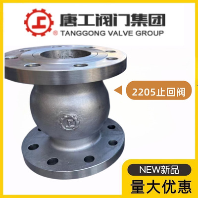 浙江唐工阀门2205双相钢法兰消声止回阀HC41X-10/16/25V耐酸碱