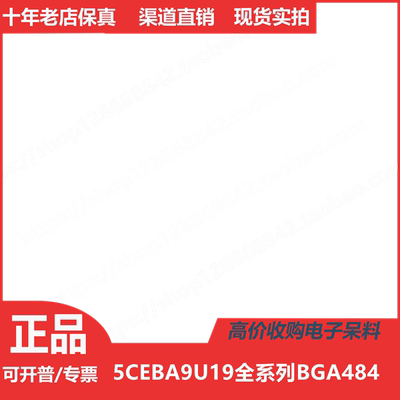 5CEBA9U19C7N 5CEBA9U19C8N  进口正品BGA484