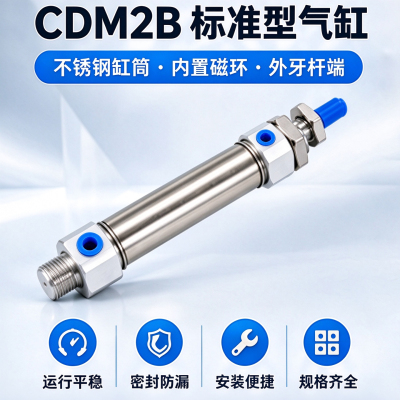 CDM2B不锈钢迷你气缸外牙磁环