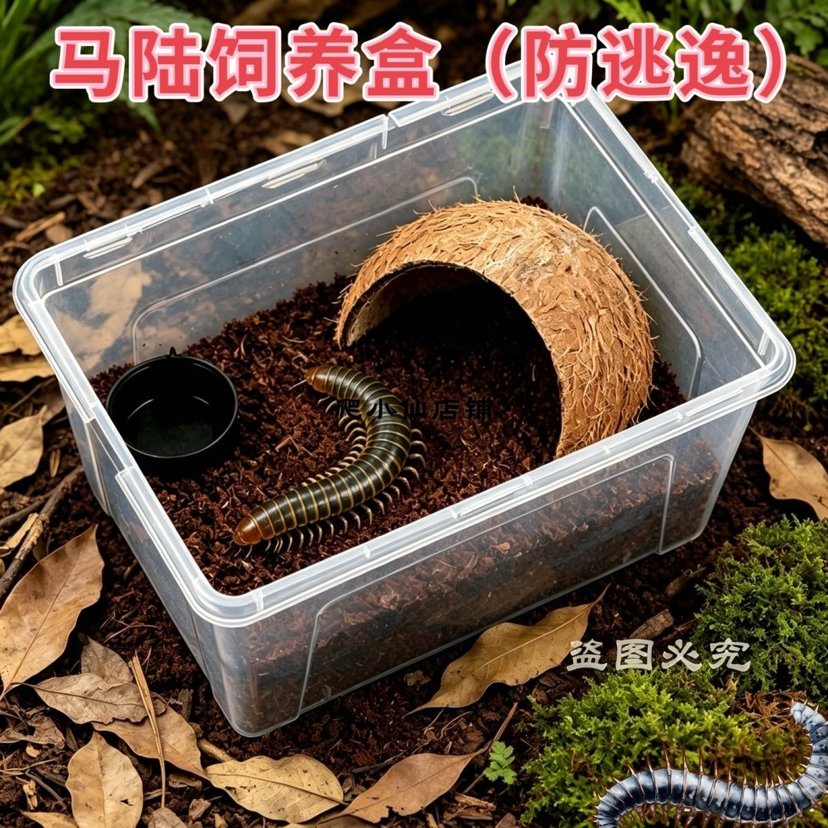 宠物爬虫马陆饲养盒带景蜘蛛守宫蜥蜴蝎子蜈蚣蛇饲养箱大中小套装