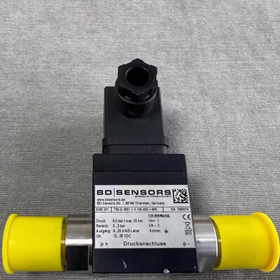 BD SENSORS压力传感器 30.600G.1601-R1-5-100-300-1-000
