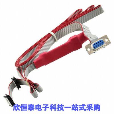 20-101-0513开发板 《 CABLE PROGRAMMING RS232    》