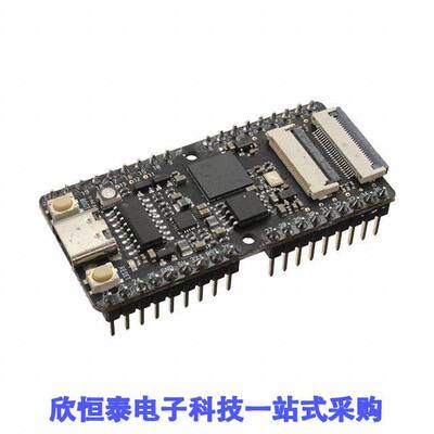 102991150开发板 《 SIPEED MAIX BIT RISC-V AI+IOT    》